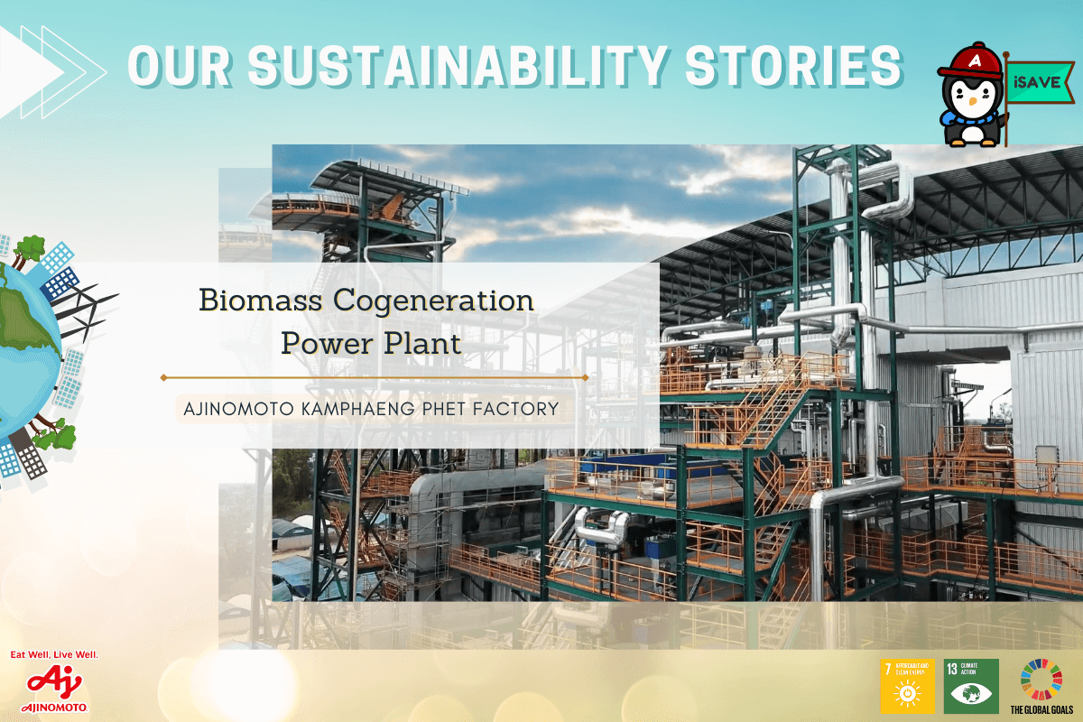 Biomass Cogeneration Power Plant - PR-News